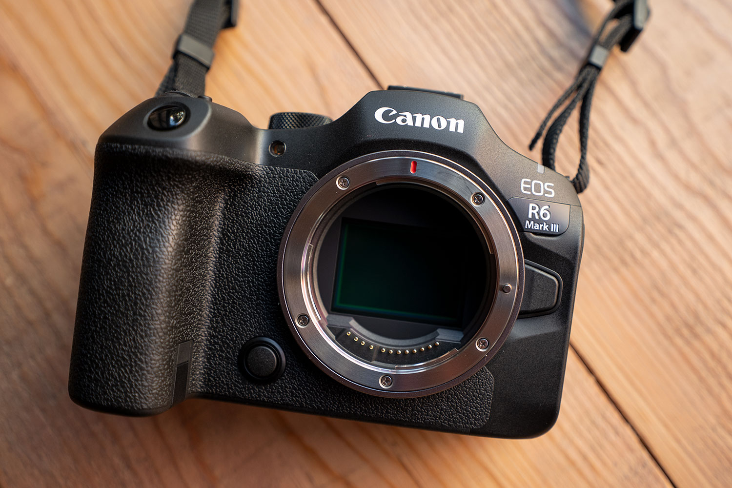 Canon EOS R6 Mark III: las claves de una renovación tan esperada como ...